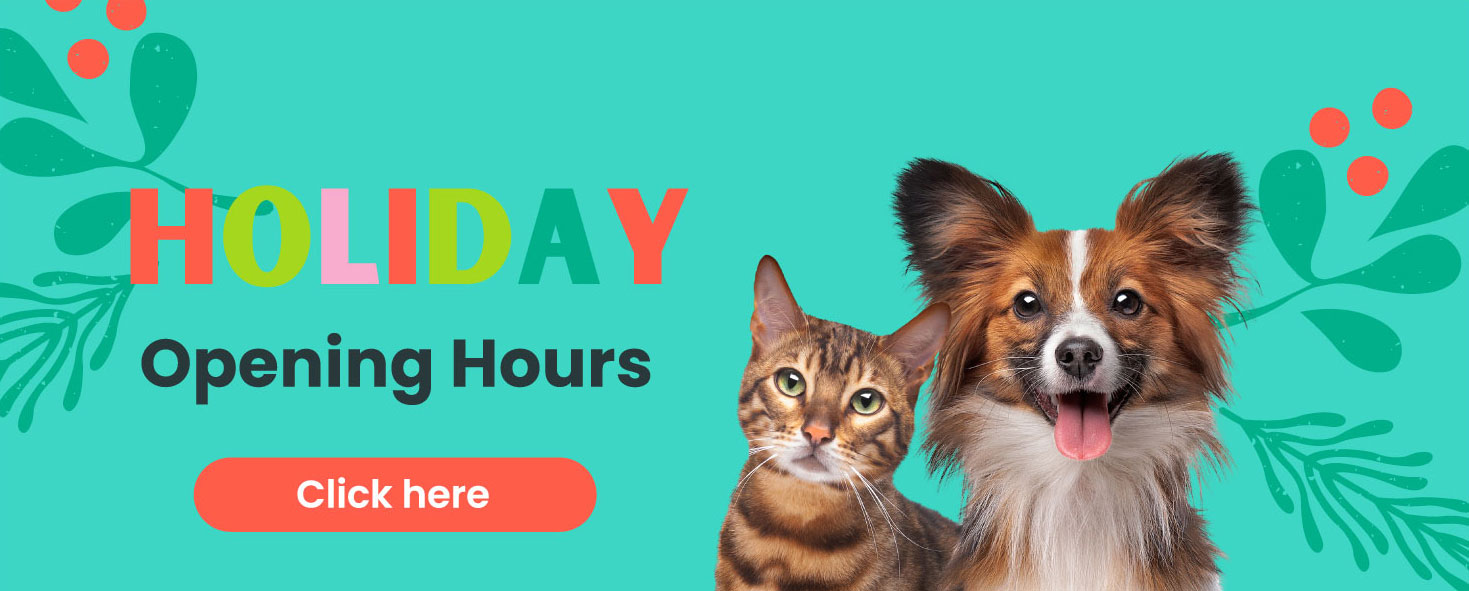 Hall Veterinary Surgery